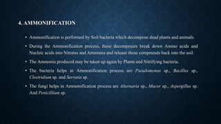 BIOGEOCHEMICAL CYCLES in Environment.pptx