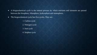 BIOGEOCHEMICAL CYCLES in Environment.pptx