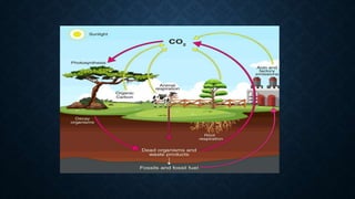 BIOGEOCHEMICAL CYCLES in Environment.pptx
