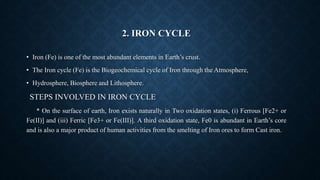 BIOGEOCHEMICAL CYCLES in Environment.pptx
