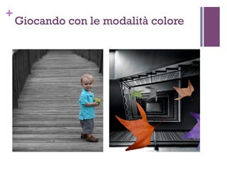 Software Grafica Open Source | PPT