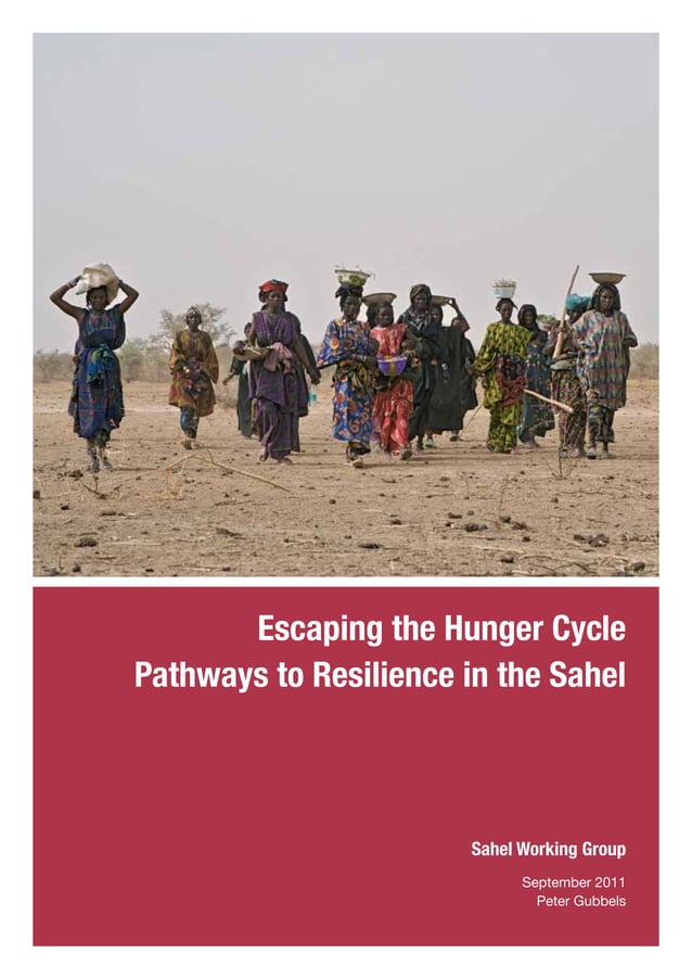 Escaping the Hunger Cycle : Pathways to Resilience in the Sahel | PDF ...