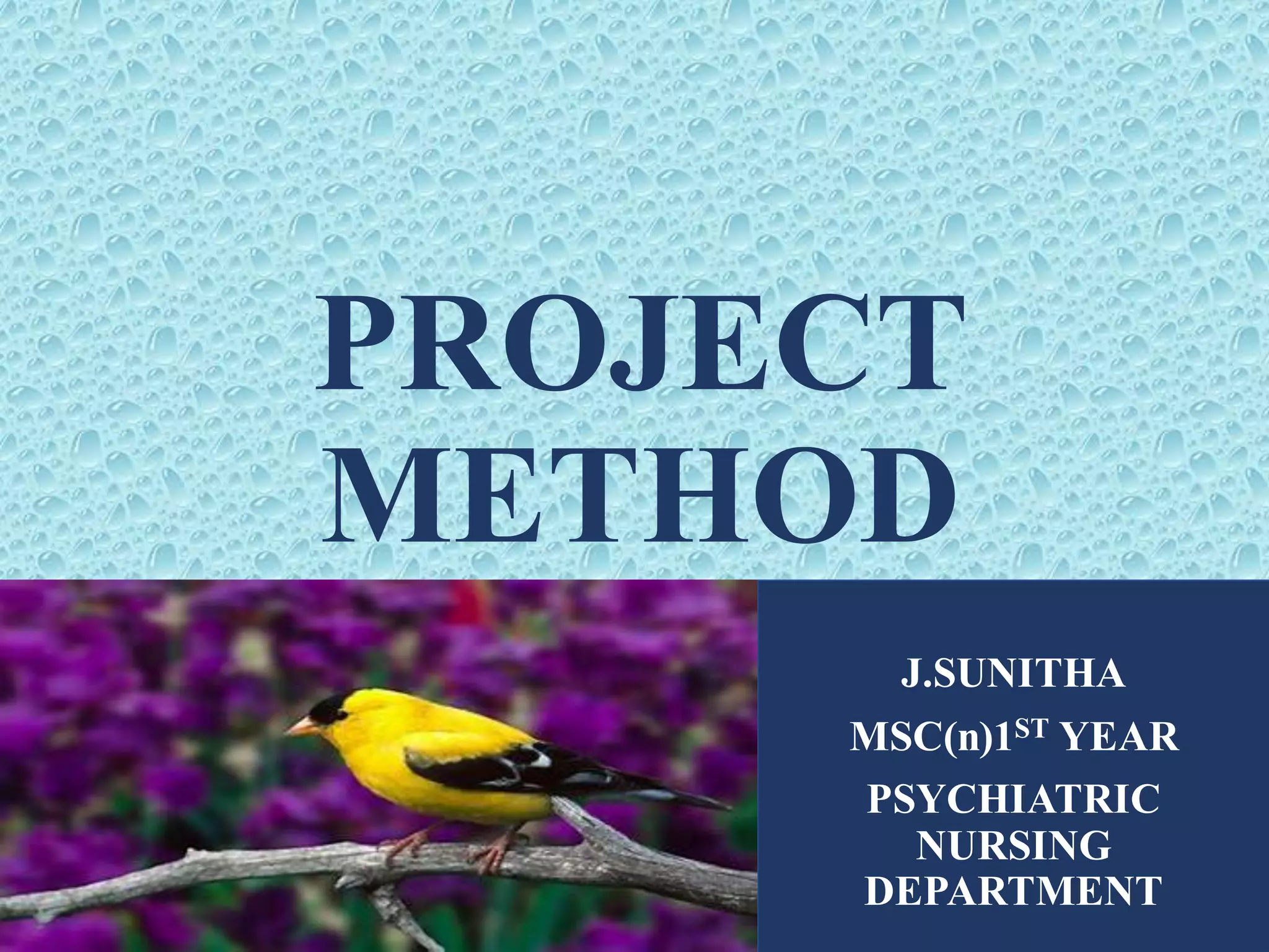 The project method | PDF