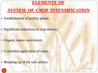 system of wheat intensification | PPTX