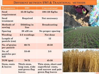 1312- System of Wheat Intensification | PPTX