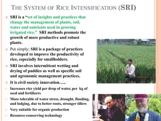 1312- System of Wheat Intensification | PPT