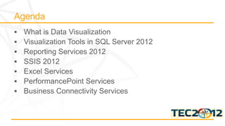 Data Visualization with SharePoint and SQL Server 12 | PPT