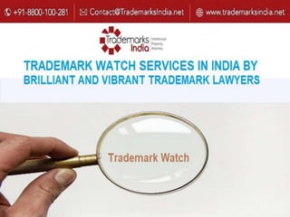 Swift and Efficient Trademark Watch Services by Top Trademark Lawyers ...