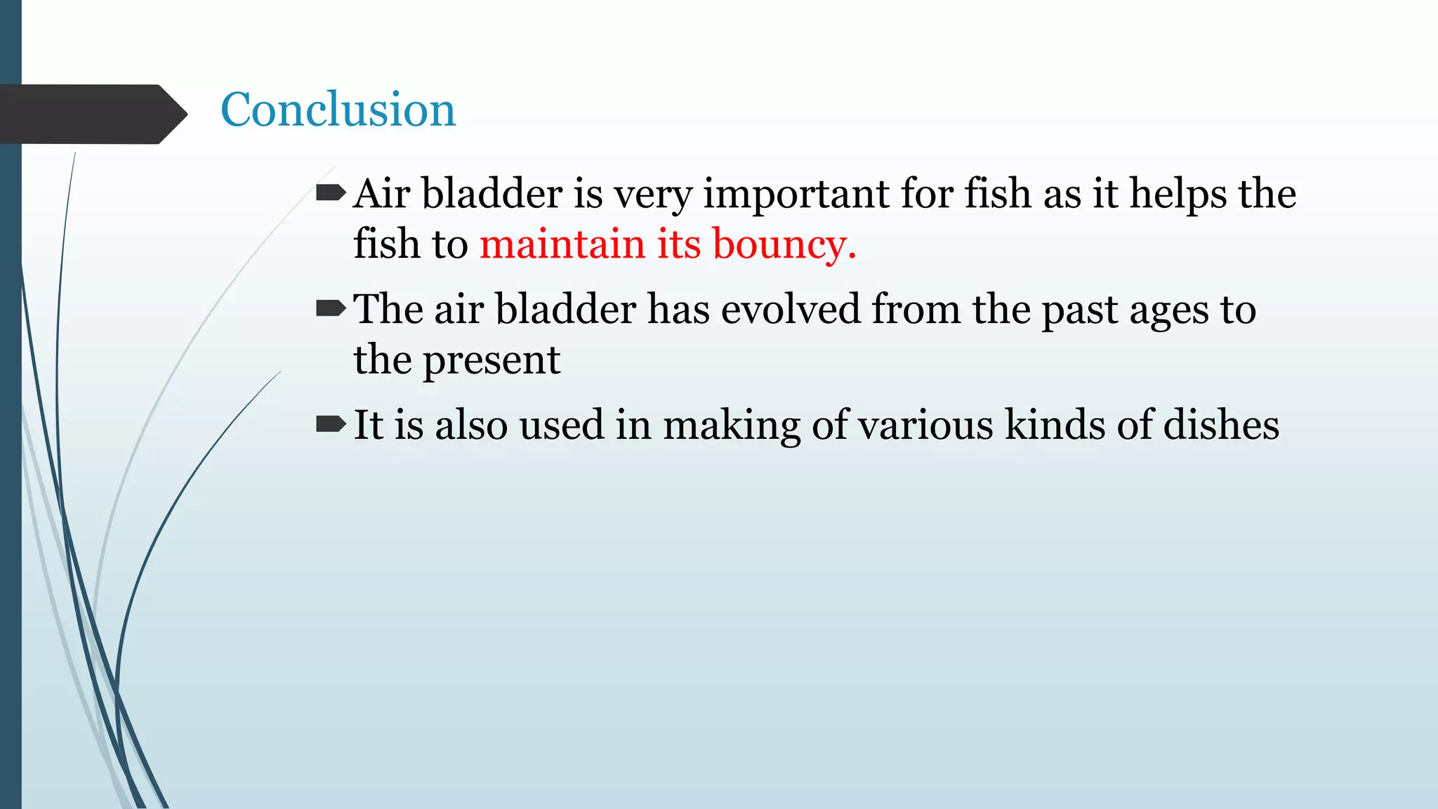 Swim bladder | PPTX