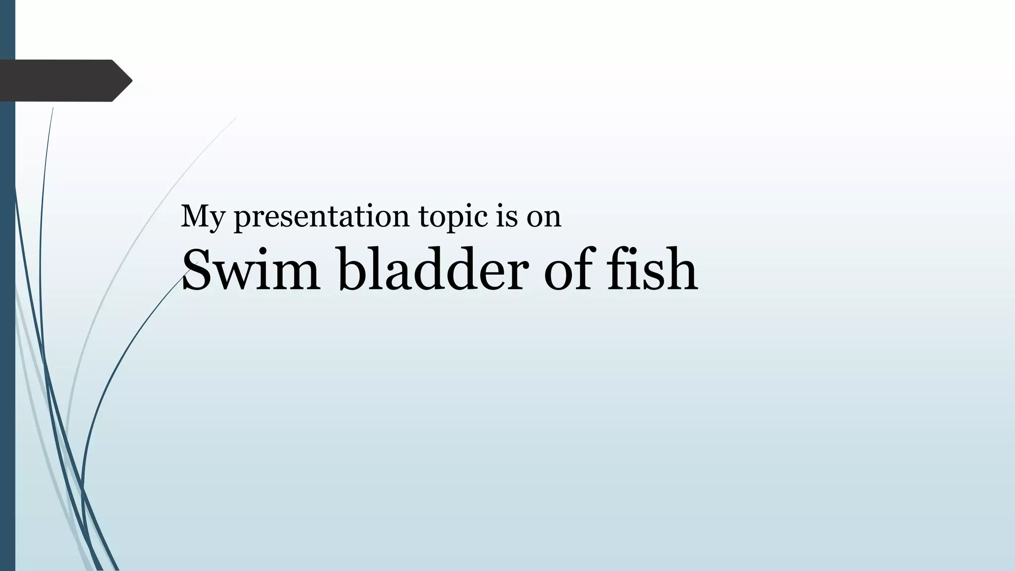 Swim bladder | PPTX