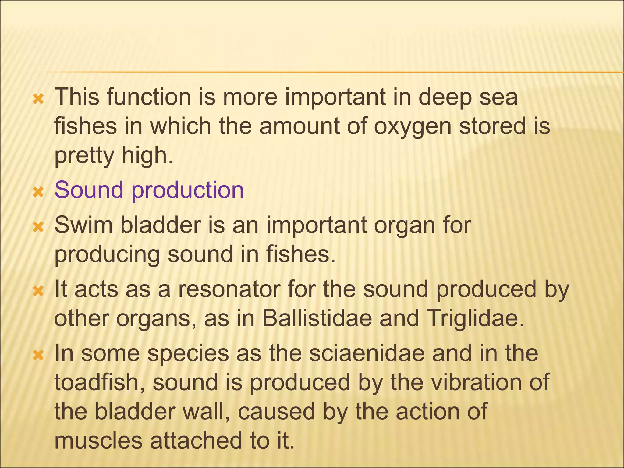 Swim bladder general organization and circulation and function | PPT