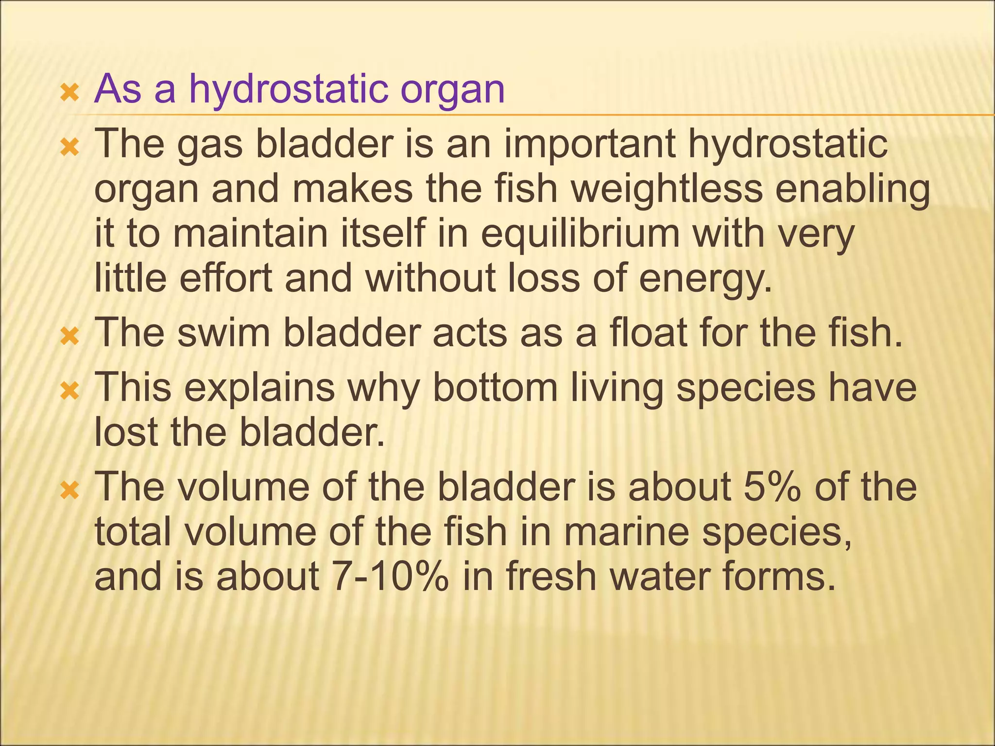 Swim bladder general organization and circulation and function | PPT
