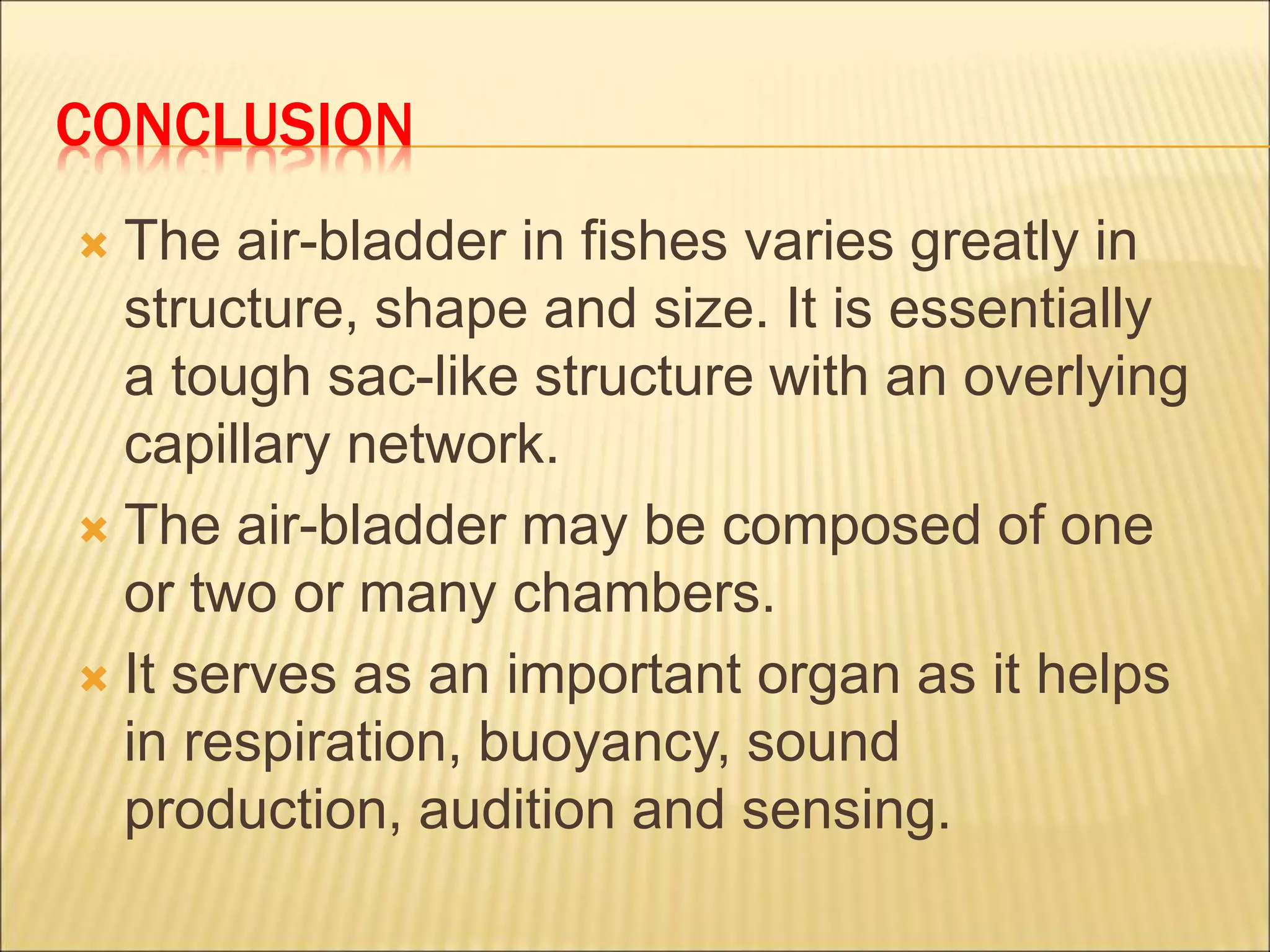 Swim bladder general organization and circulation and function | PPT
