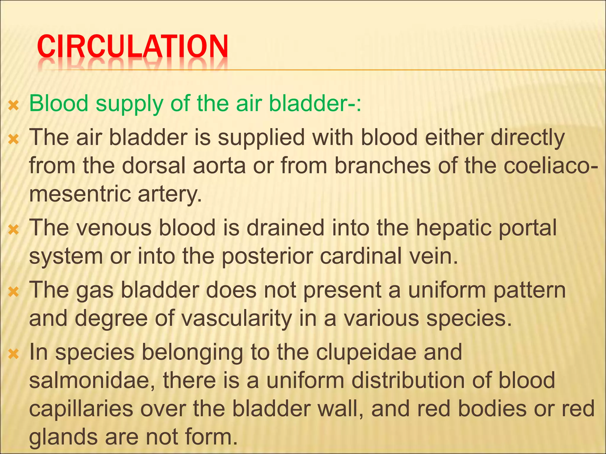 Swim bladder general organization and circulation and function | PPT