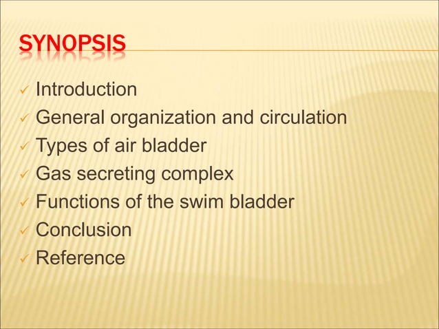 Swim bladder general organization and circulation and function | PPT