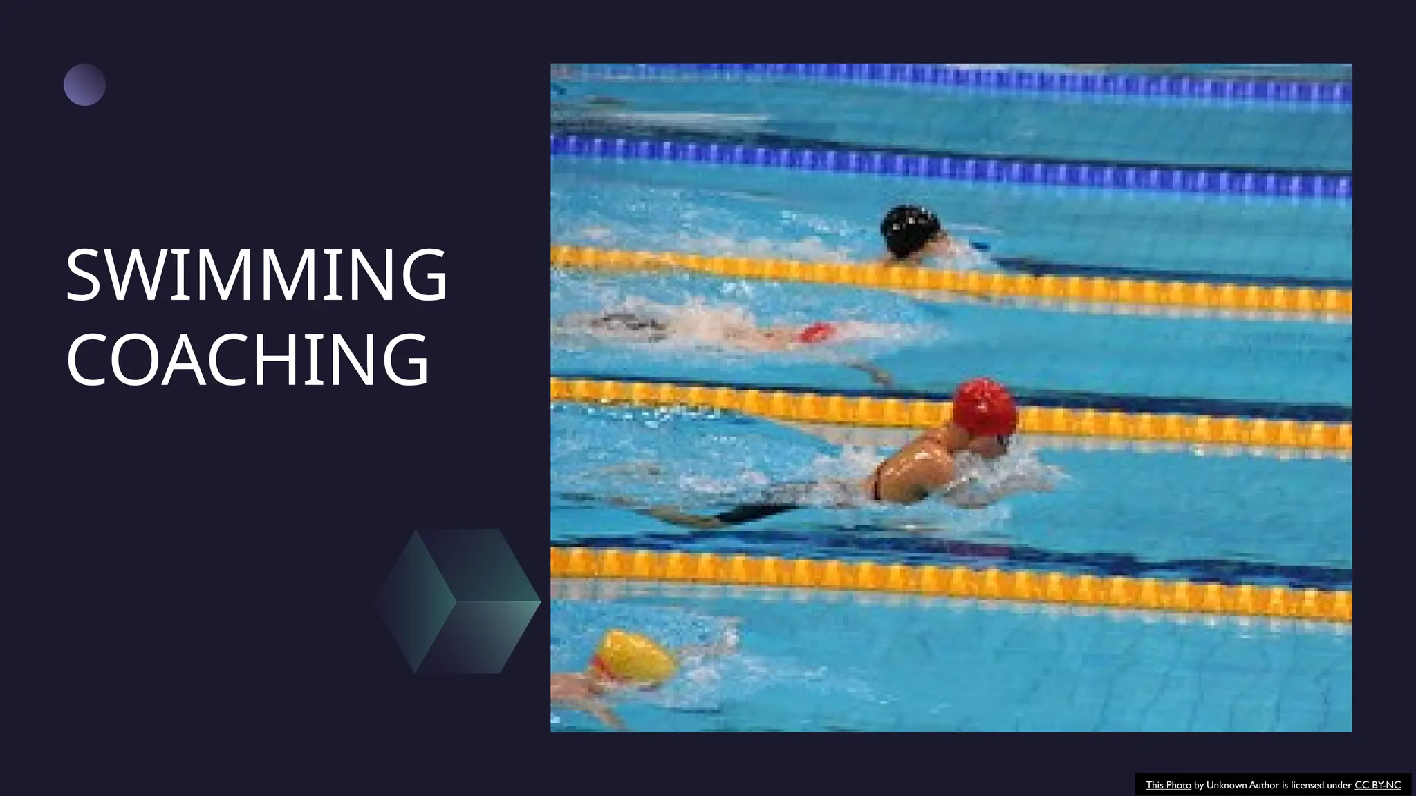 SWIM COACHING CERTIFICATION LEVEL 1 - PART 2 | PPTX