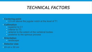 Swimmer’s view.pptx