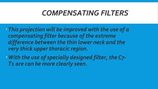 Swimmer’s view.pptx