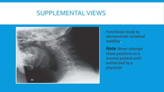 Swimmer’s view.pptx