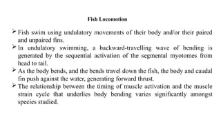 Fish Swimming mode in aquatic environment | PPT