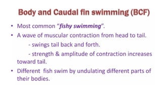 Fish Swimming mode in aquatic environment | PPT
