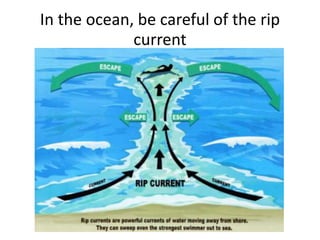 Swimming safety | PPTX