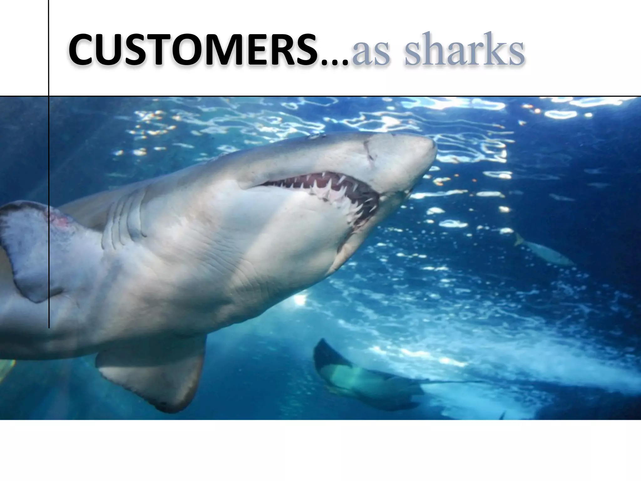 Swimming with the sharks: Presentation lessons from reality TV | PPT