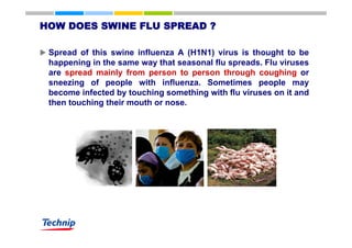 Swine Flu by Technip | PPT