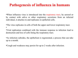 Swine flu-presentation-final | PPT