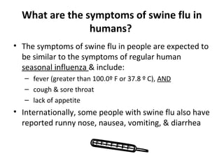 Swine flu-presentation-final | PPT