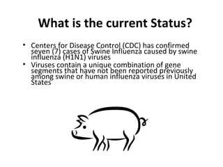 Swine flu-presentation-final | PPT