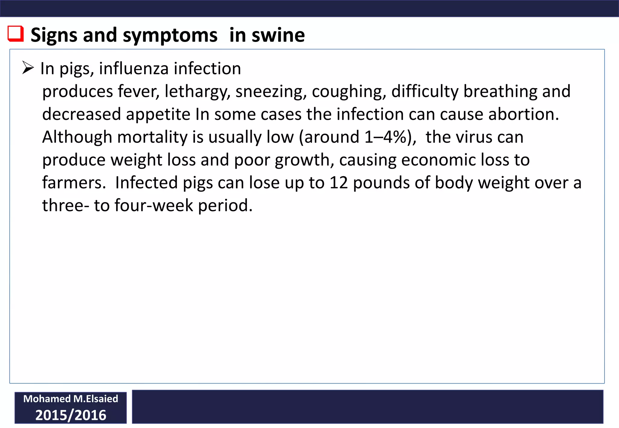 Swine influenza | PPTX