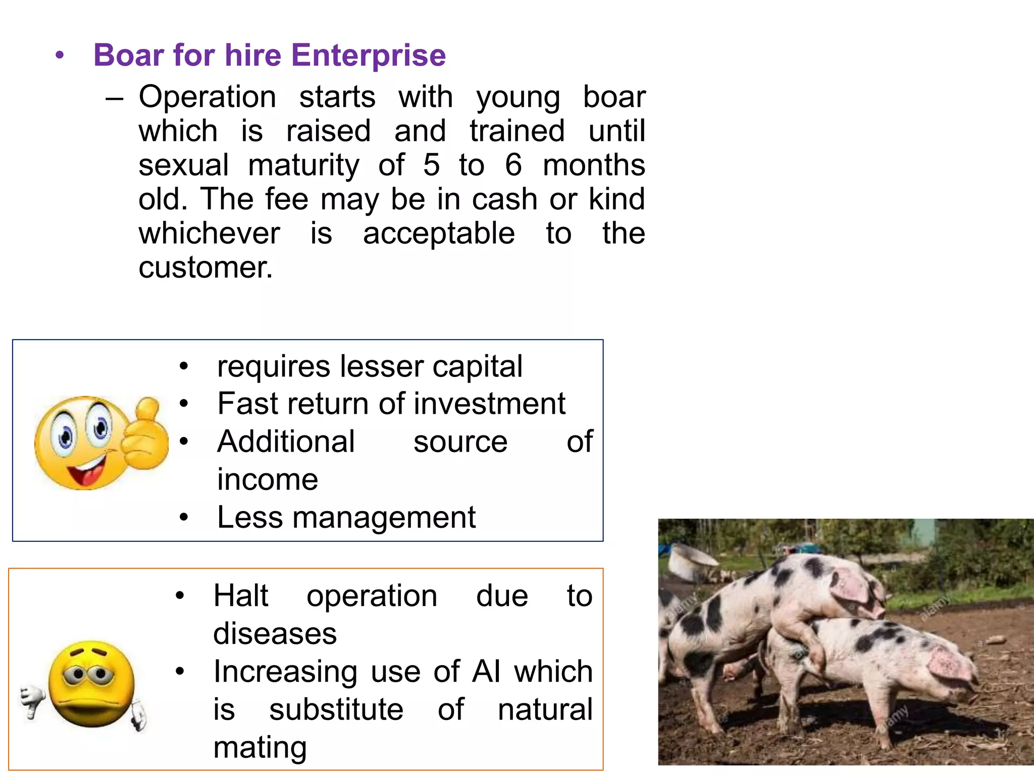 Swine-Production-Management.pptx