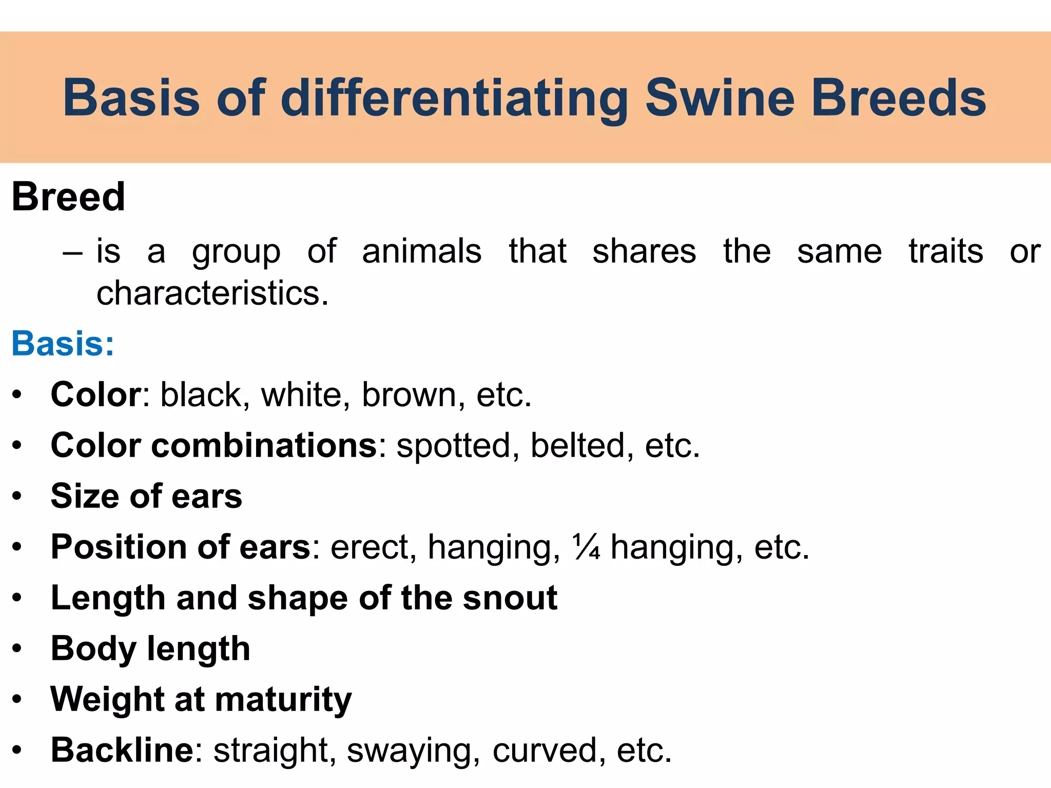 Swine-Production-Management.pptx