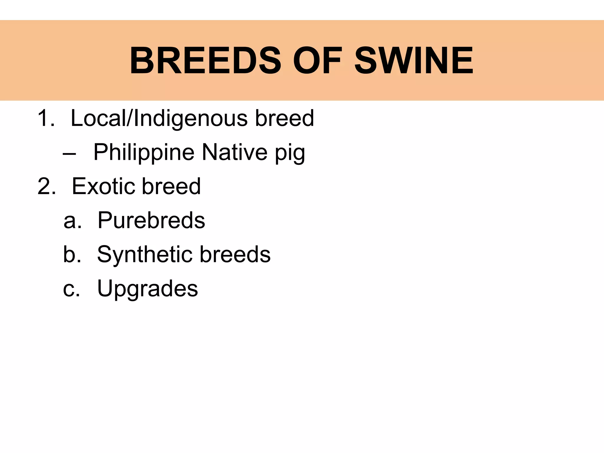 Swine-Production-Management.pptx
