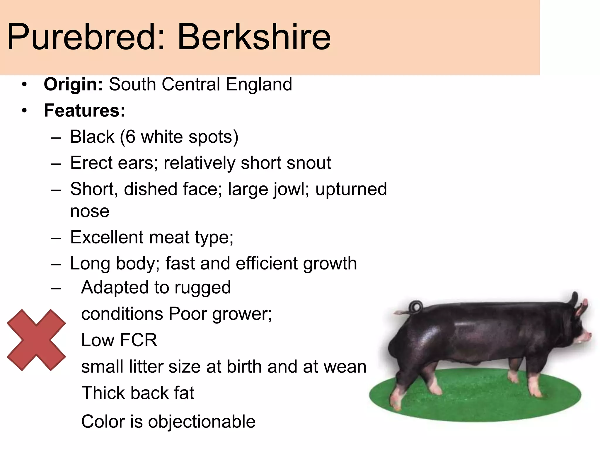 Swine-Production-Management.pptx