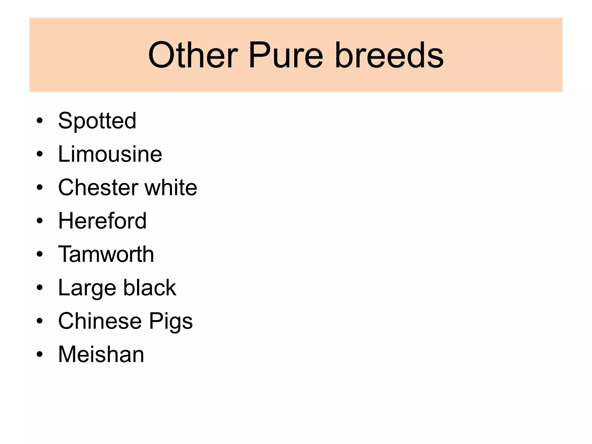 Swine-Production-Management.pptx