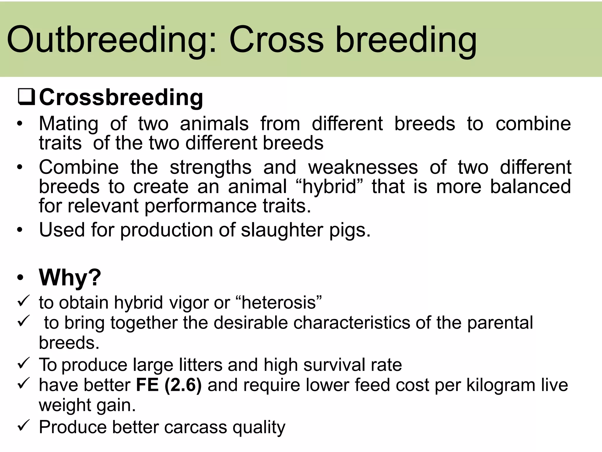 Swine-Production-Management.pptx