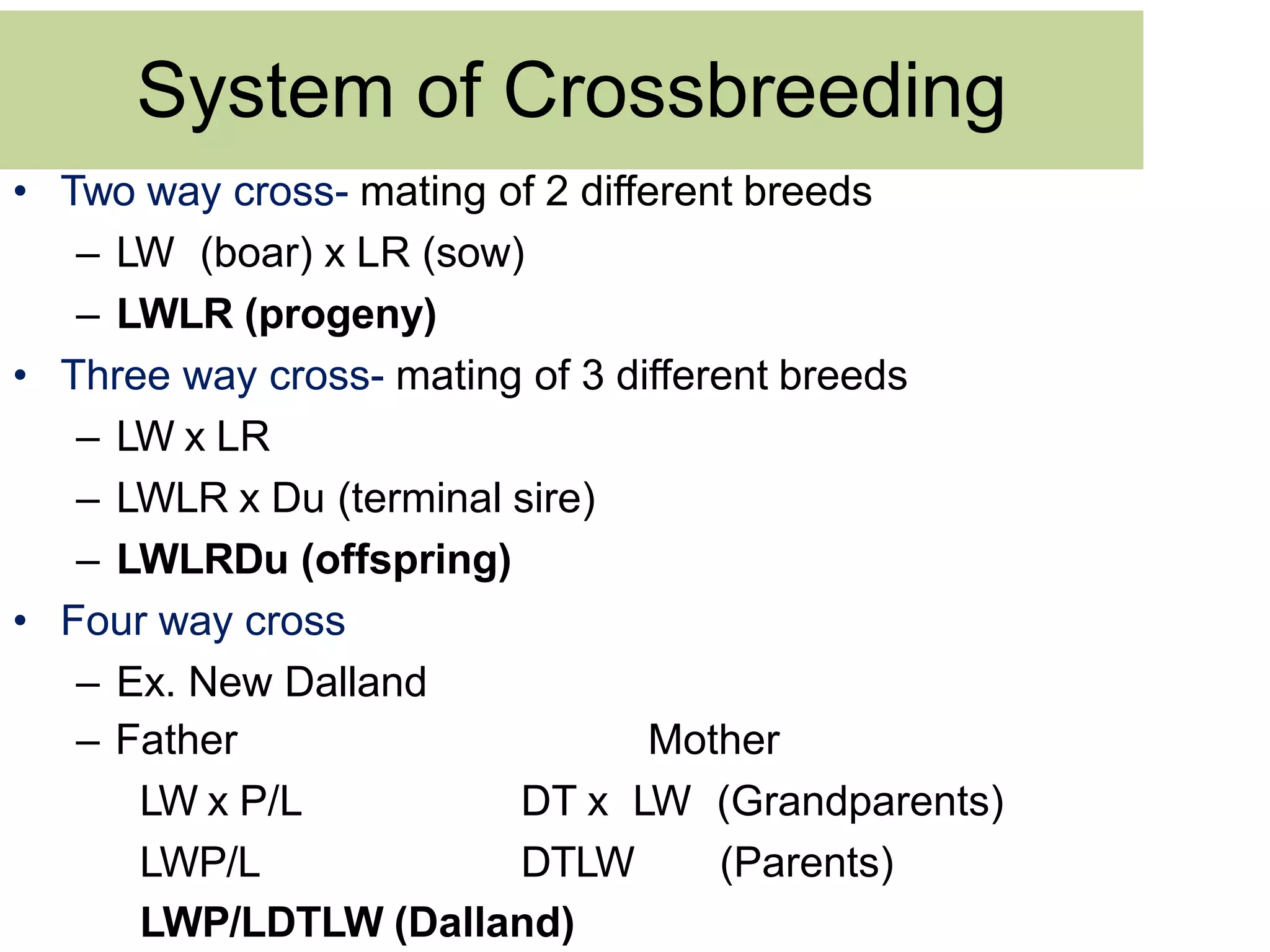 Swine-Production-Management.pptx