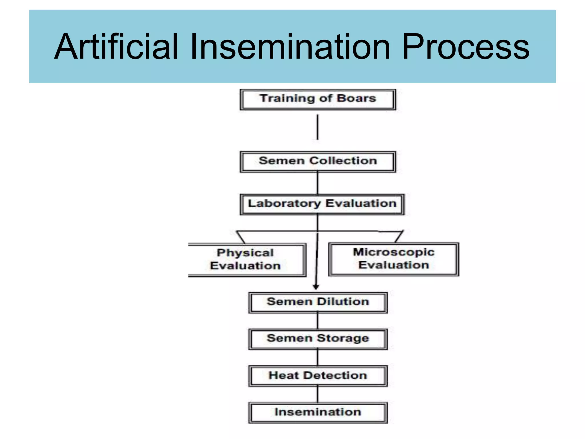 Swine-Production-Management.pptx