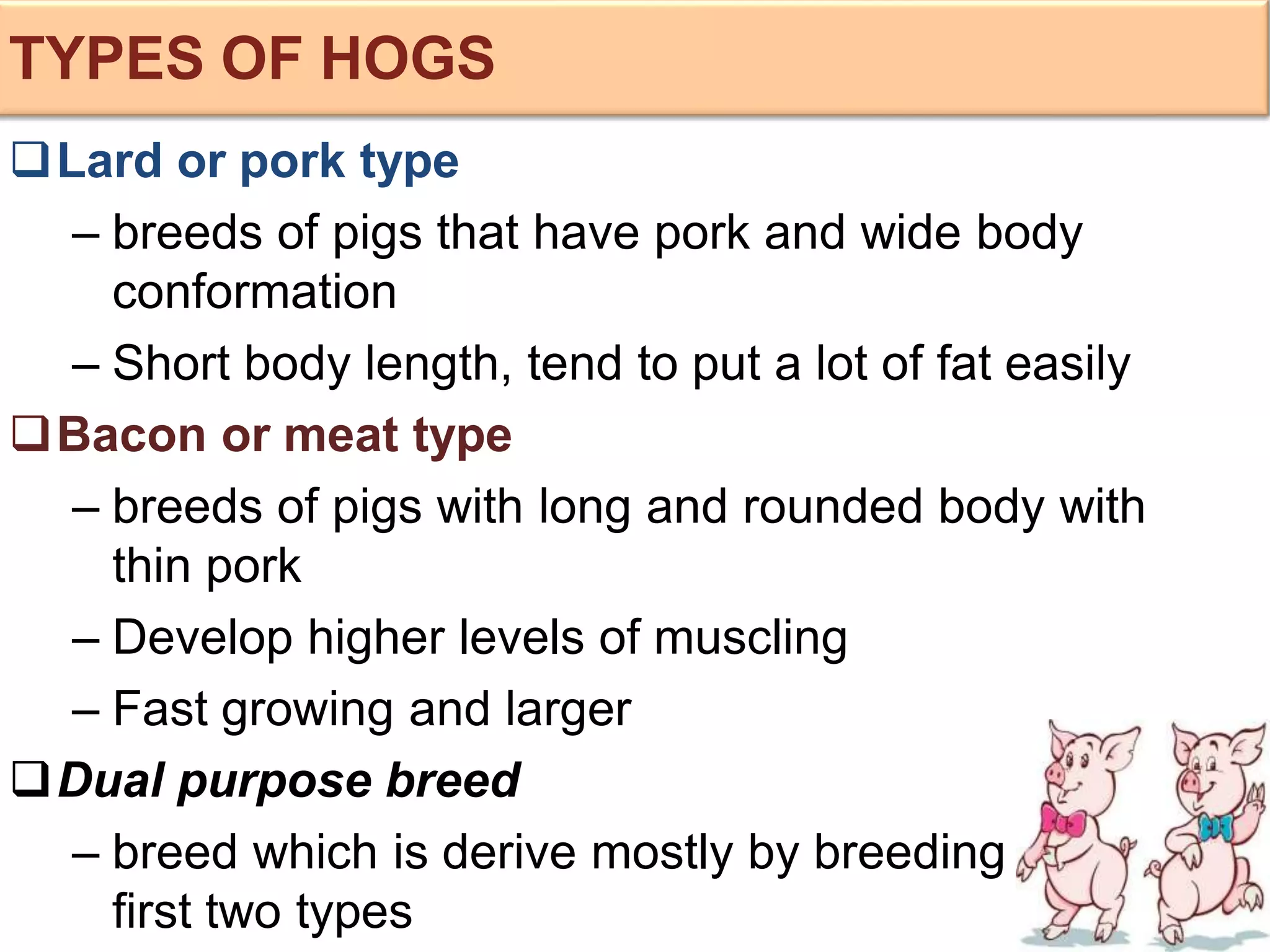 Swine-Production-Management.pptx