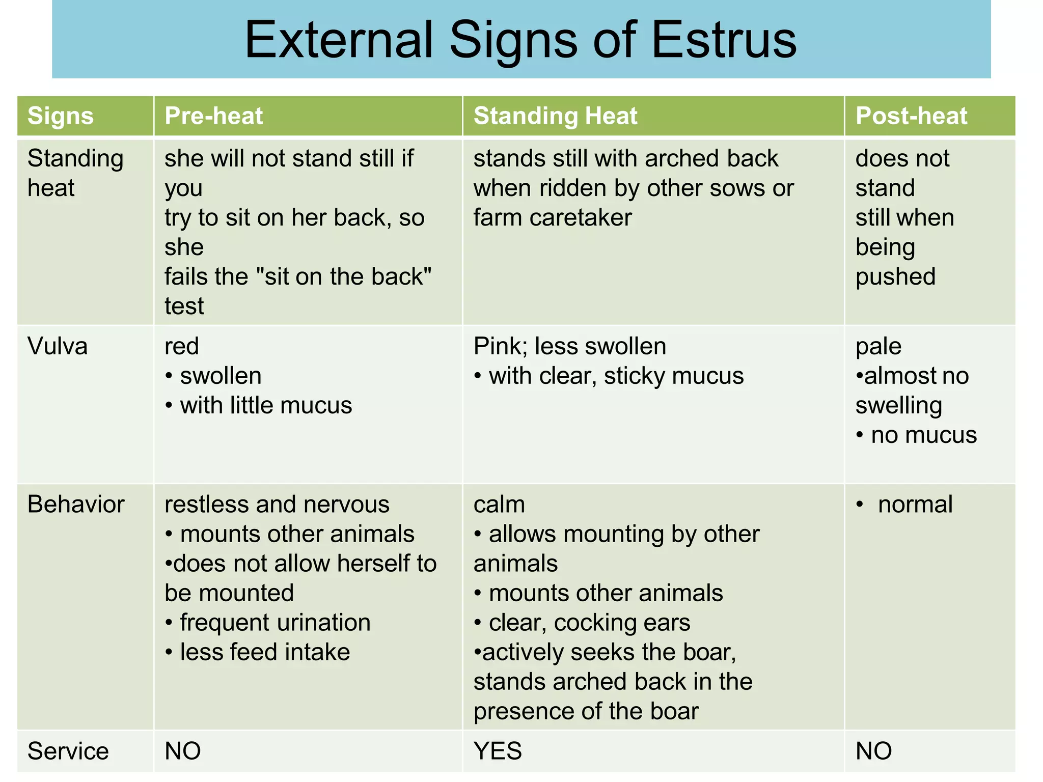 Swine-Production-Management.pptx