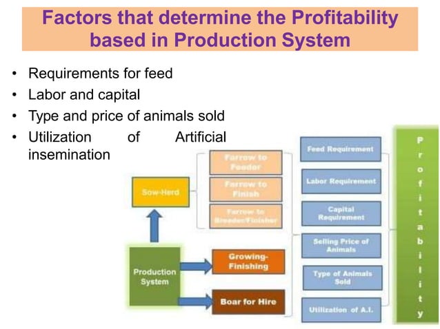 Swine-Production-Management.pptx