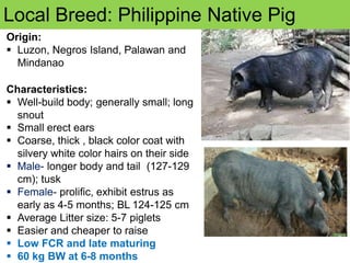 Swine-Production-Management.pptx