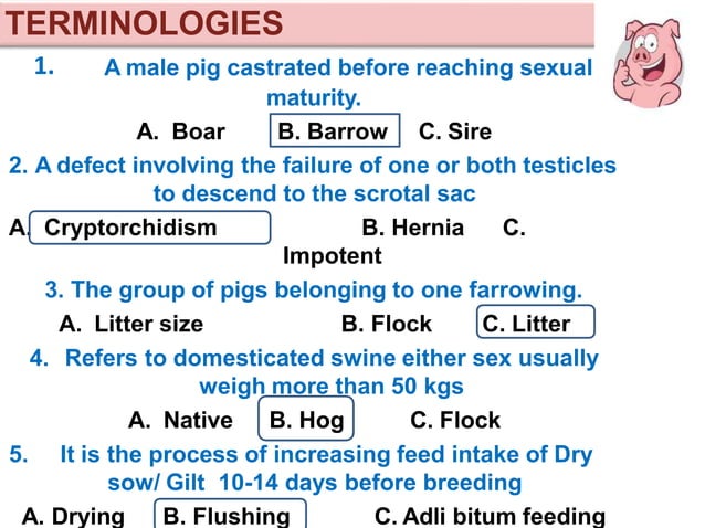 Swine-Production-Management.pptx