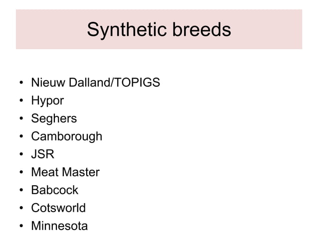 Swine-Production-Management.pptx