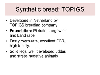 Swine-Production-Management.pptx