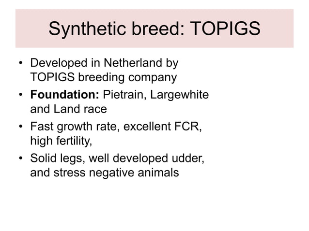 Swine-Production-Management.pptx