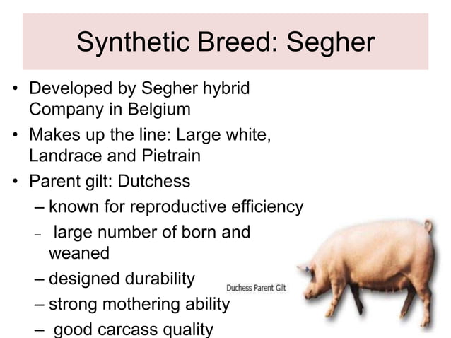 Swine-Production-Management.pptx