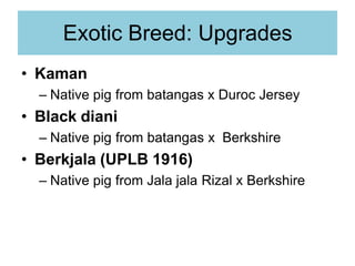 Swine-Production-Management.pptx